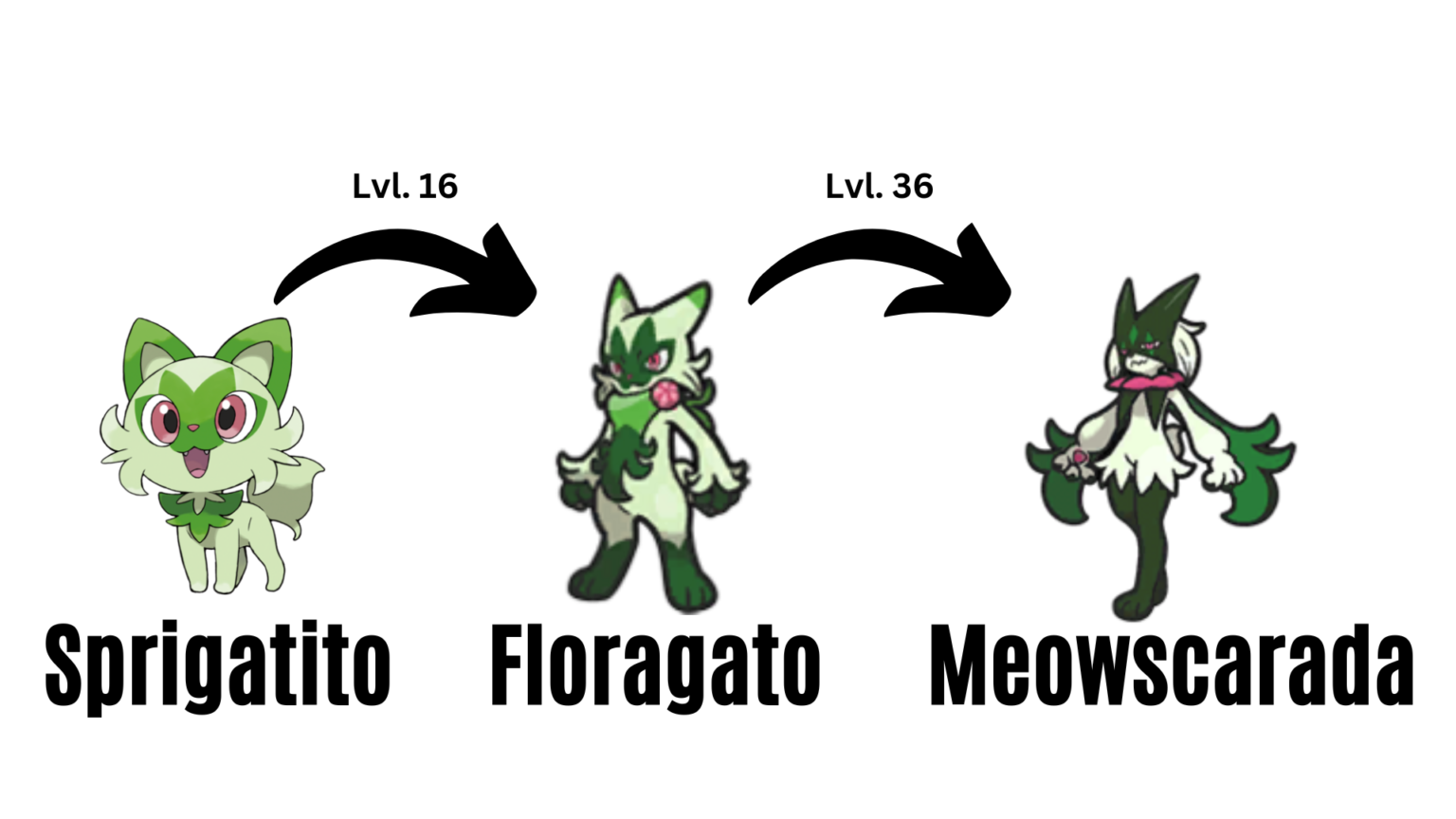 Pokémon Scarlet and Violet: All Starters and Evolutions – The Daily Juice