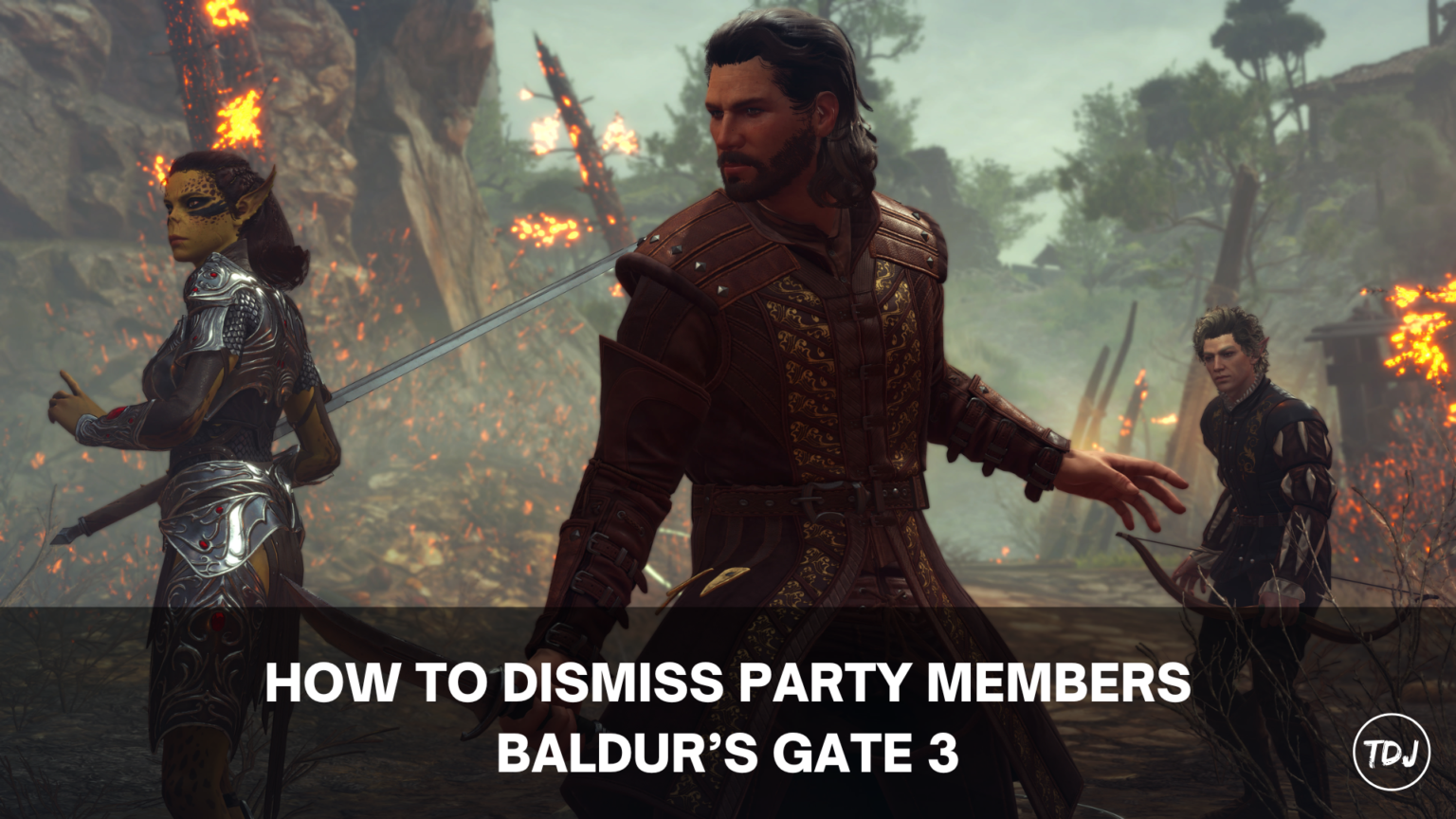 Baldur’s Gate 3 – How to Dismiss Party Members – The Daily Juice