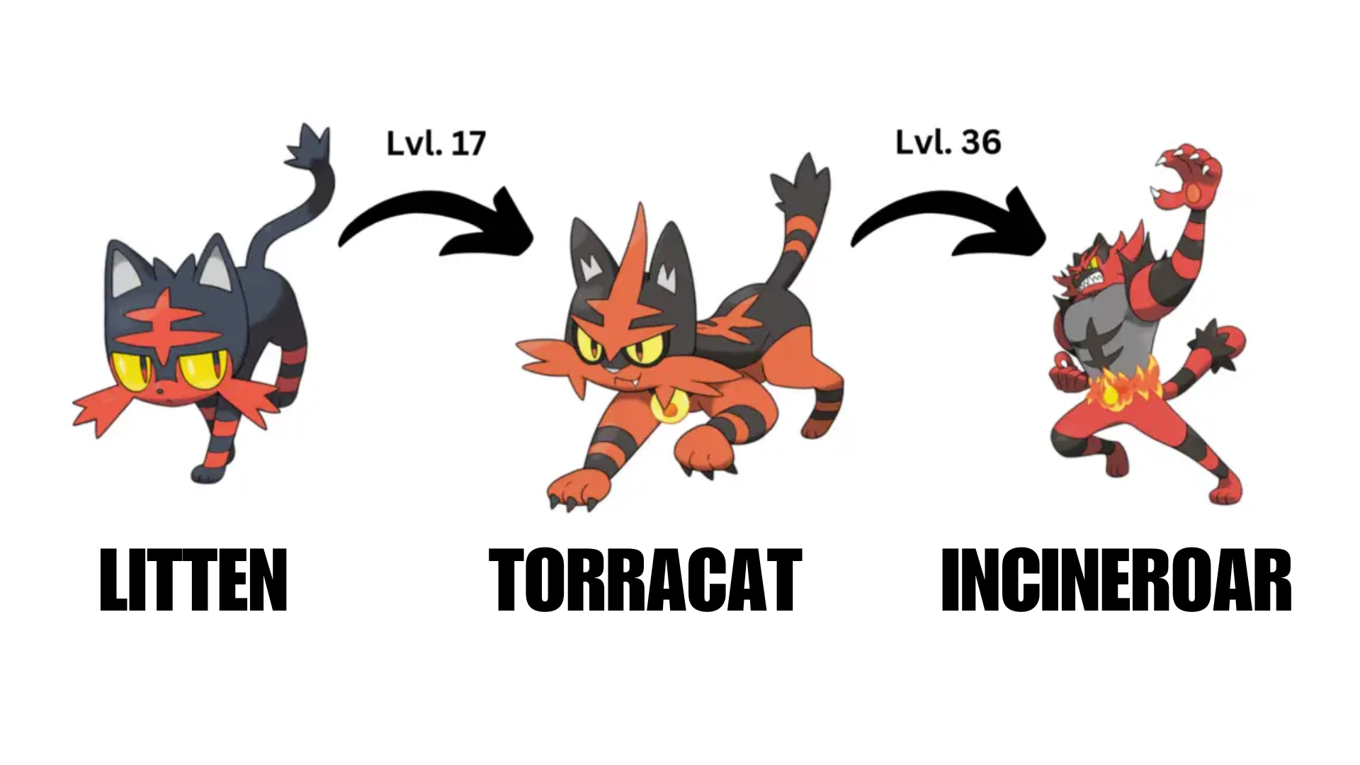 Pokémon Sun and Moon: All Starters and Evolutions | The Daily Juice