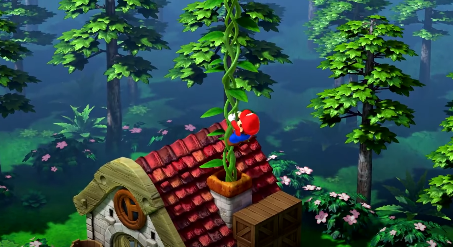 Super Mario RPG – How to Get and Use Seed – The Daily Juice