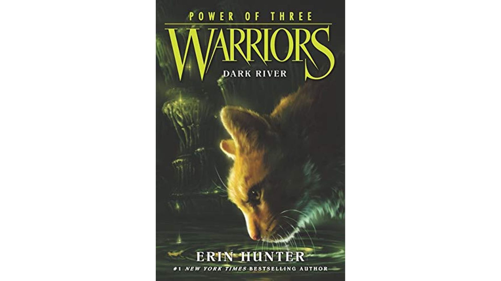 The Warriors Books, In Order | The Daily Juice