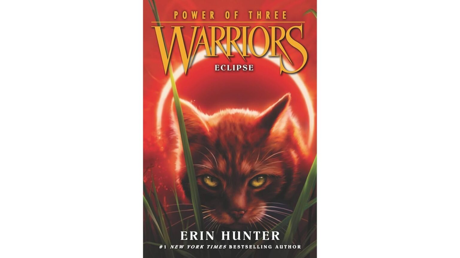 The Warriors Books, In Order | The Daily Juice