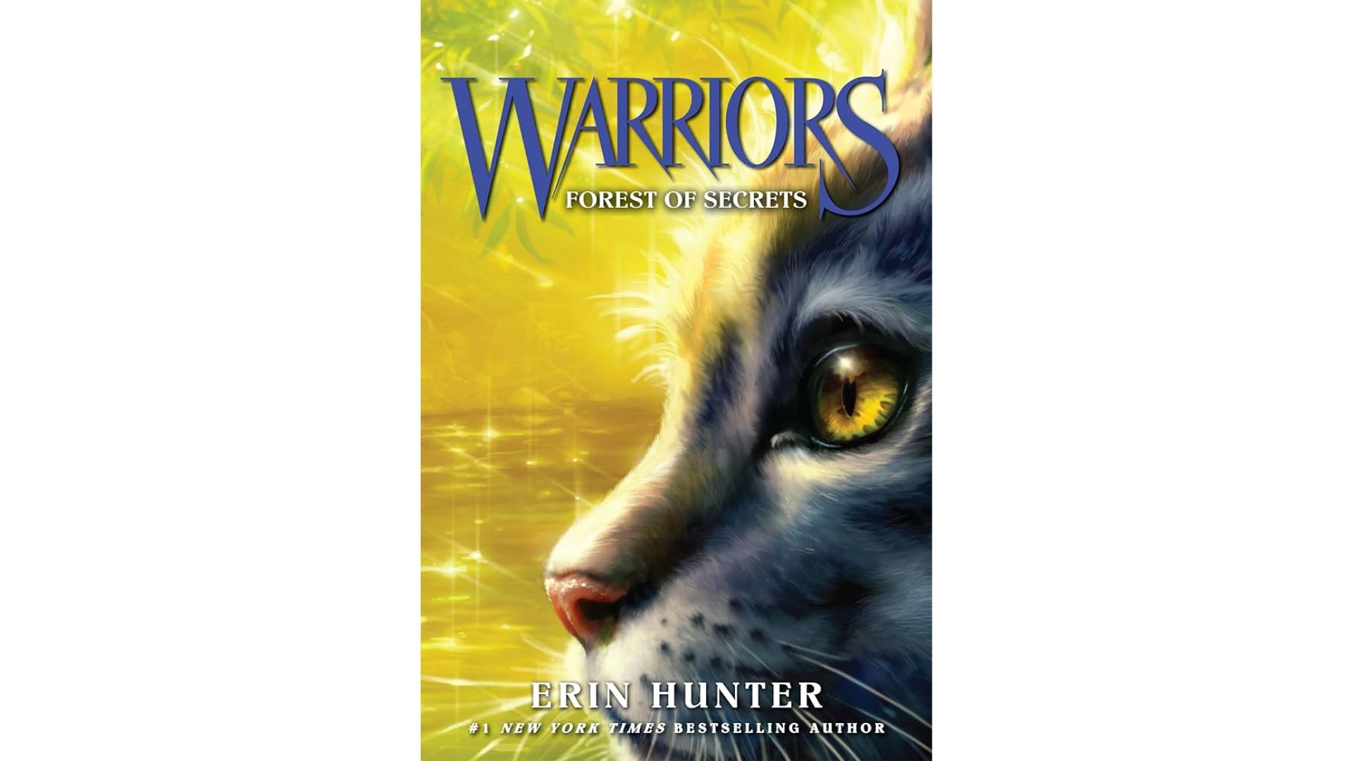 The Warriors Books, In Order | The Daily Juice