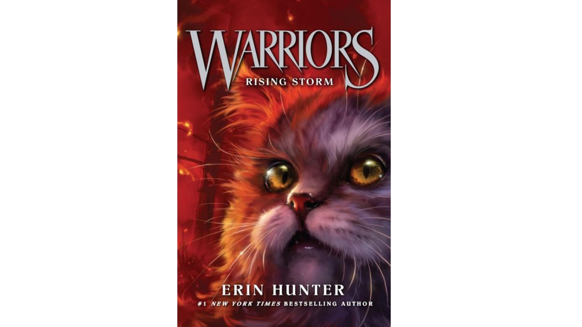 The Warriors Books, In Order | The Daily Juice